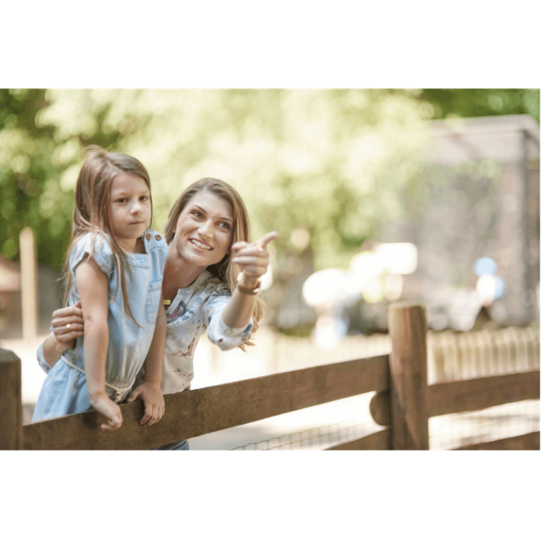 Imitation in Toddlers